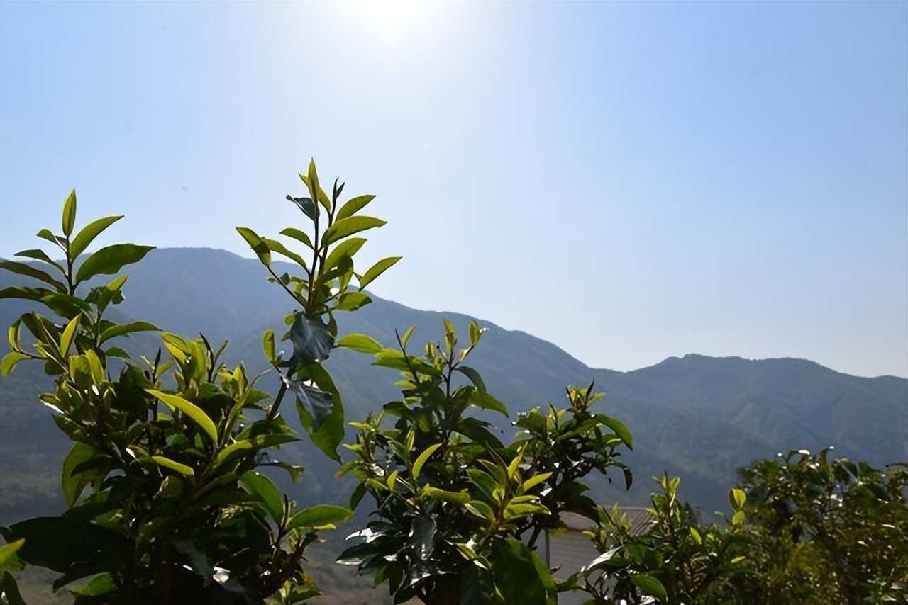 The mysterious Banshan, the magical 22 degrees north latitude, is full ...