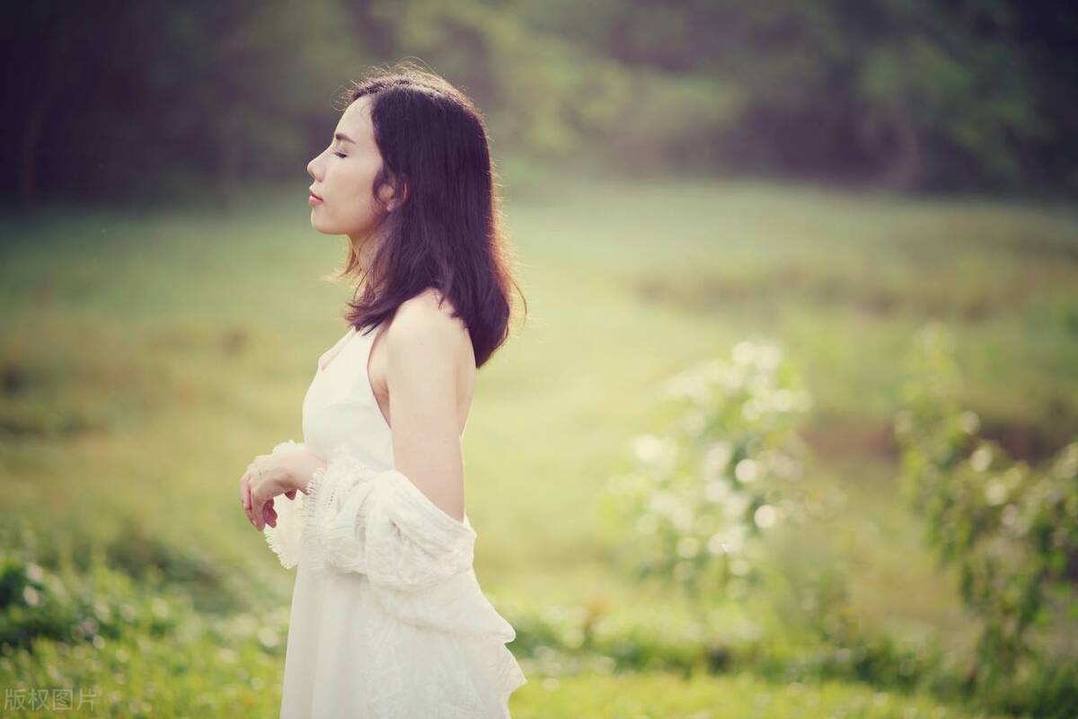 Cloud Crossing Qinling Mountains Qiao Junling Li Wanjin Yao Changying ...
