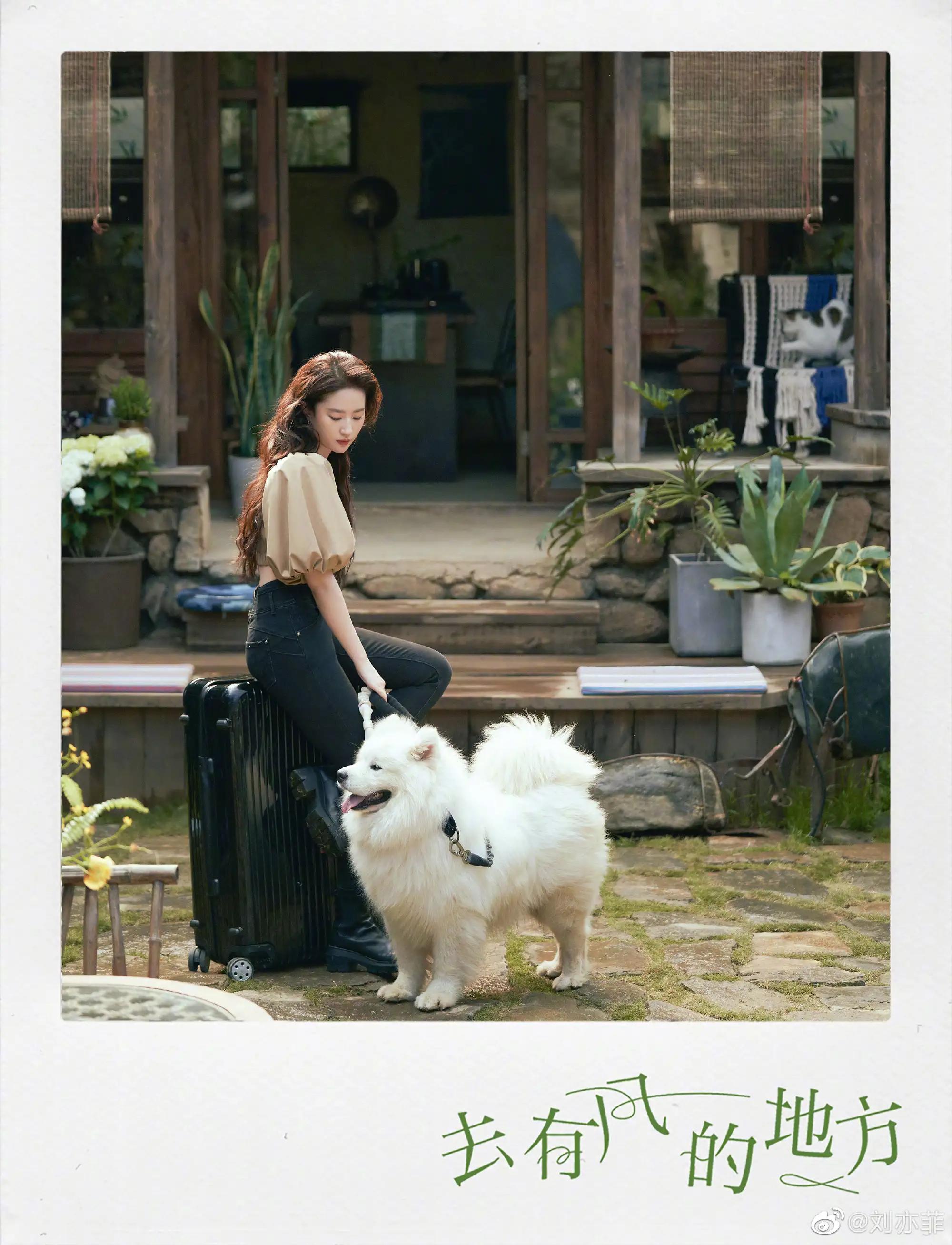 Liu Yifei's first modern drama is here! Xu Hongdou x Xie Zhiyao - iMedia
