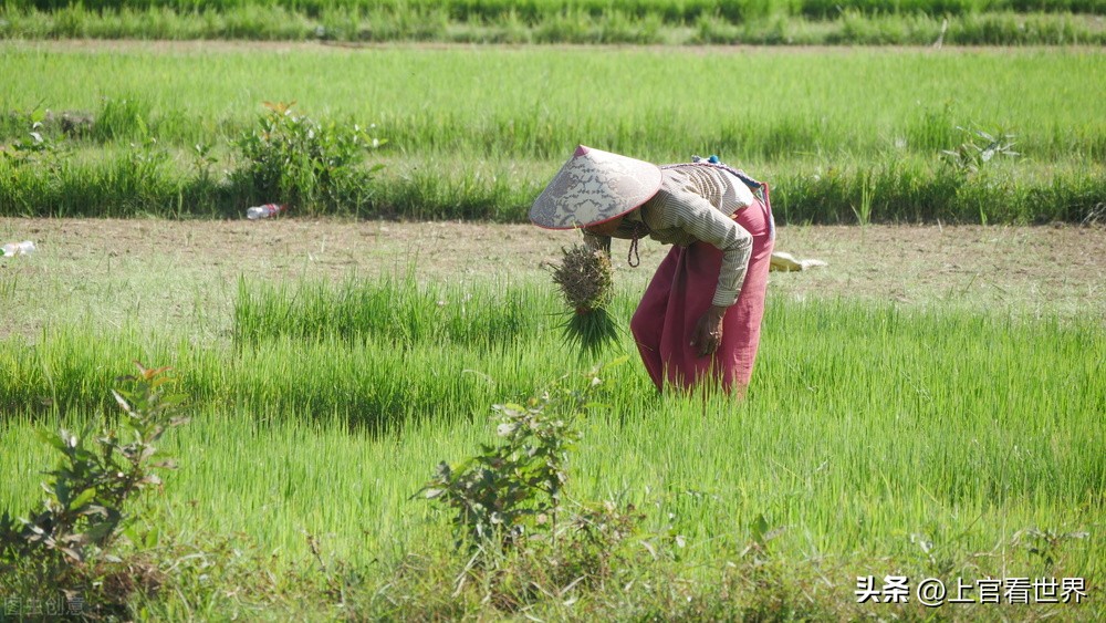 Taking pictures in the countryside, I like to take pictures of the ...