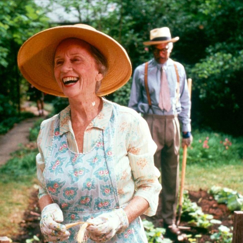 Narrative Structure and Characterization of the Movie "Driving Miss ...