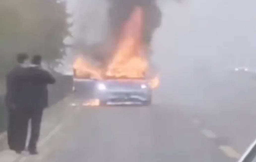 BYD can't be blamed for the "first burn" of seals - iNEWS