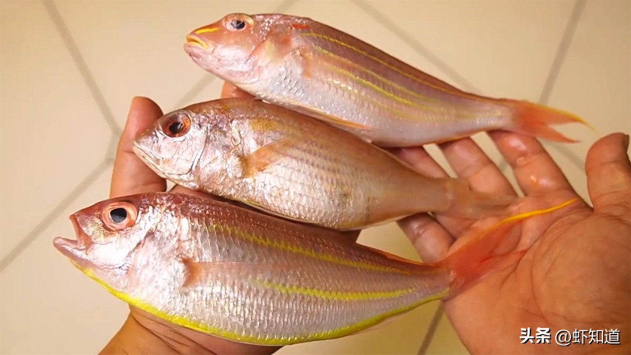 Golden thread fish, is it better to eat red three or knife? How to ...