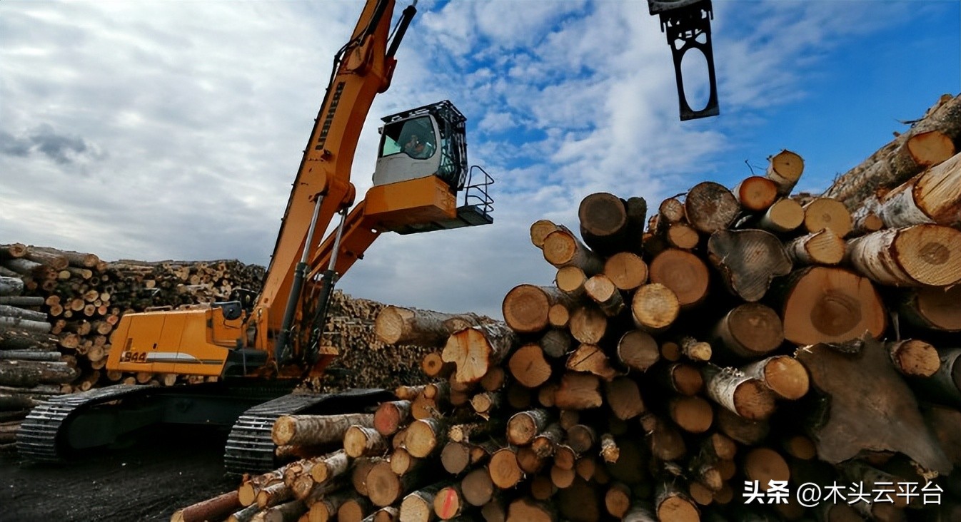 Russian sawn timber exports down 21%, but exports to China up - iNEWS