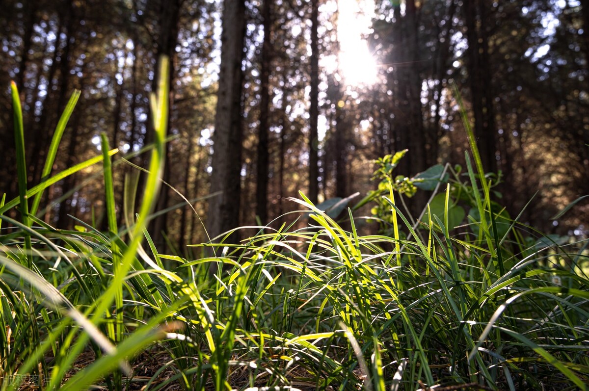 What are the synonyms and antonyms of reciprocate? - iMedia