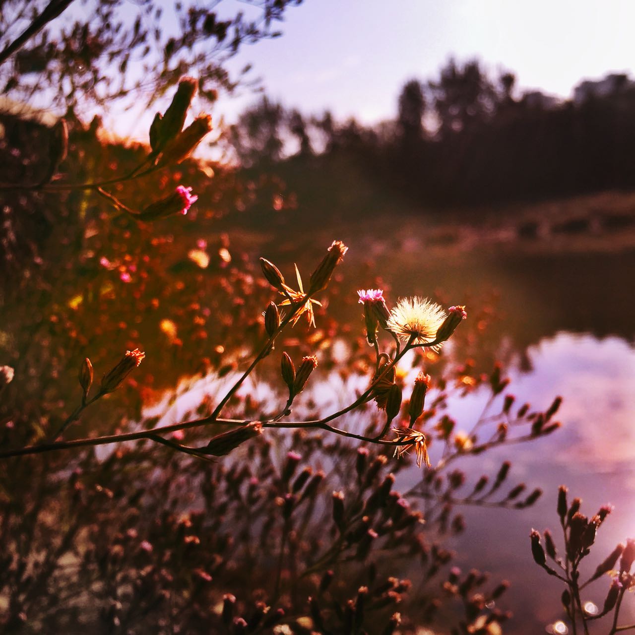 Zhuangzi's Fable: Fishing in Pushui (Zhuangzi Fishing in Pushui) - iNEWS