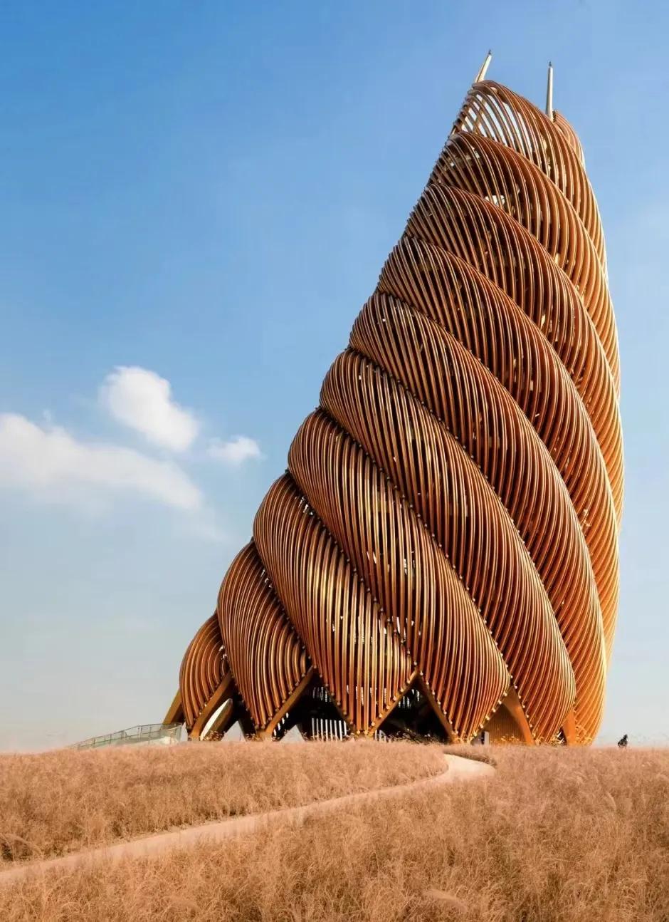 Shocked!Giant bamboo shoots over 60 meters tall in Chengdu - iMedia