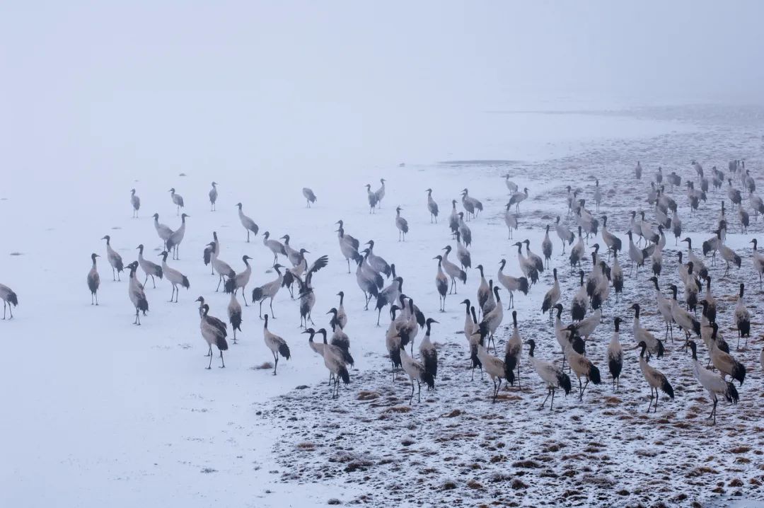 Come to Yunnan in winter, do these 20 things to be complete - iNEWS
