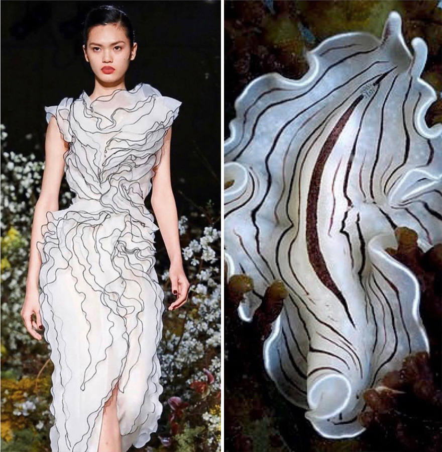 These nature-inspired designs are simply stunning - iNEWS