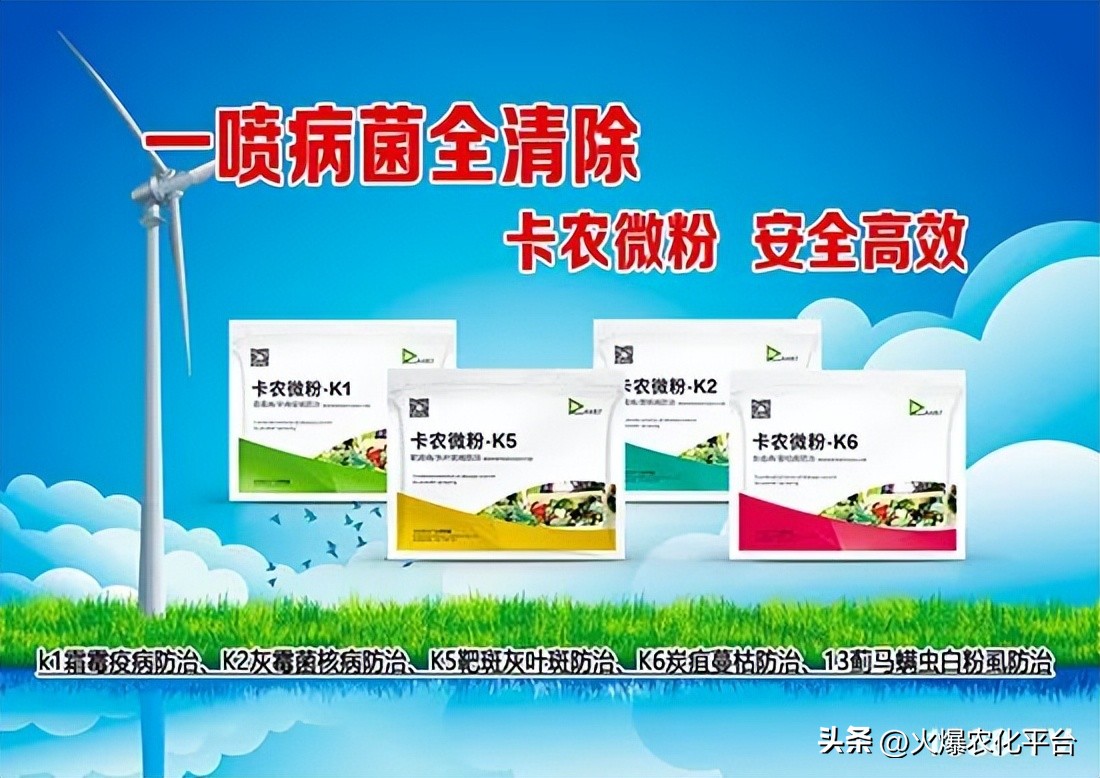 Buy Canon micropowder to send new gasoline dusting machine to remove ...