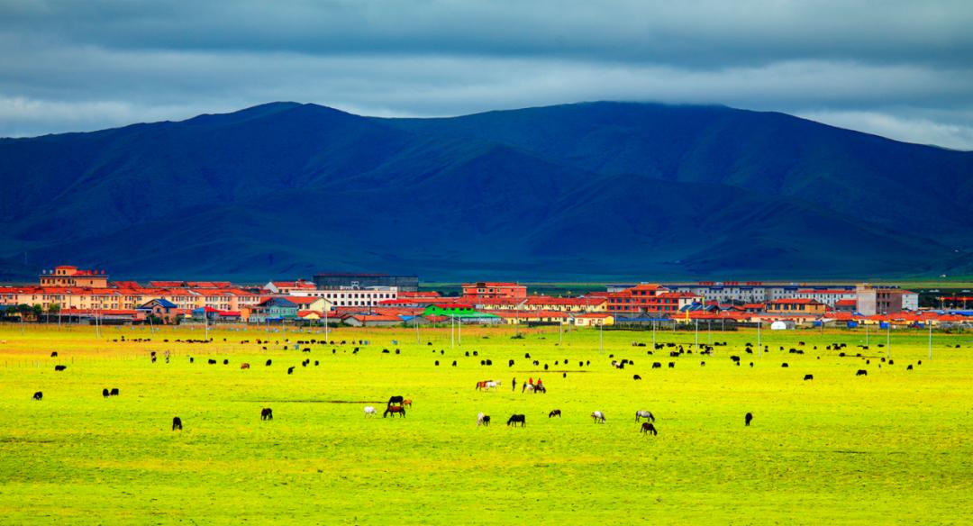 The director's romance is hidden in the red grassland - iNEWS