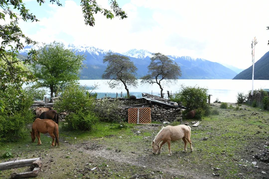 Let's go to Basongcuo - iNEWS