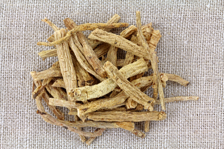 Astragalus hurts the kidneys, how harmful is it to drink astragalus ...