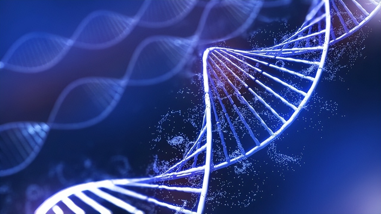 Rare clear cell adenocarcinoma of the prostate: new perspectives on ...