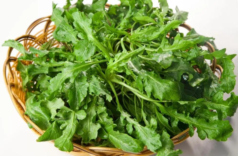 A bowl of wild vegetables boiled spring water - iNEWS