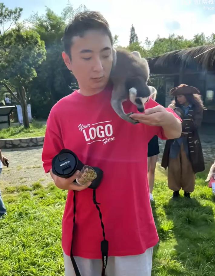 Wang Sicong takes four beauties to see the monkeys!Putting the monkey ...