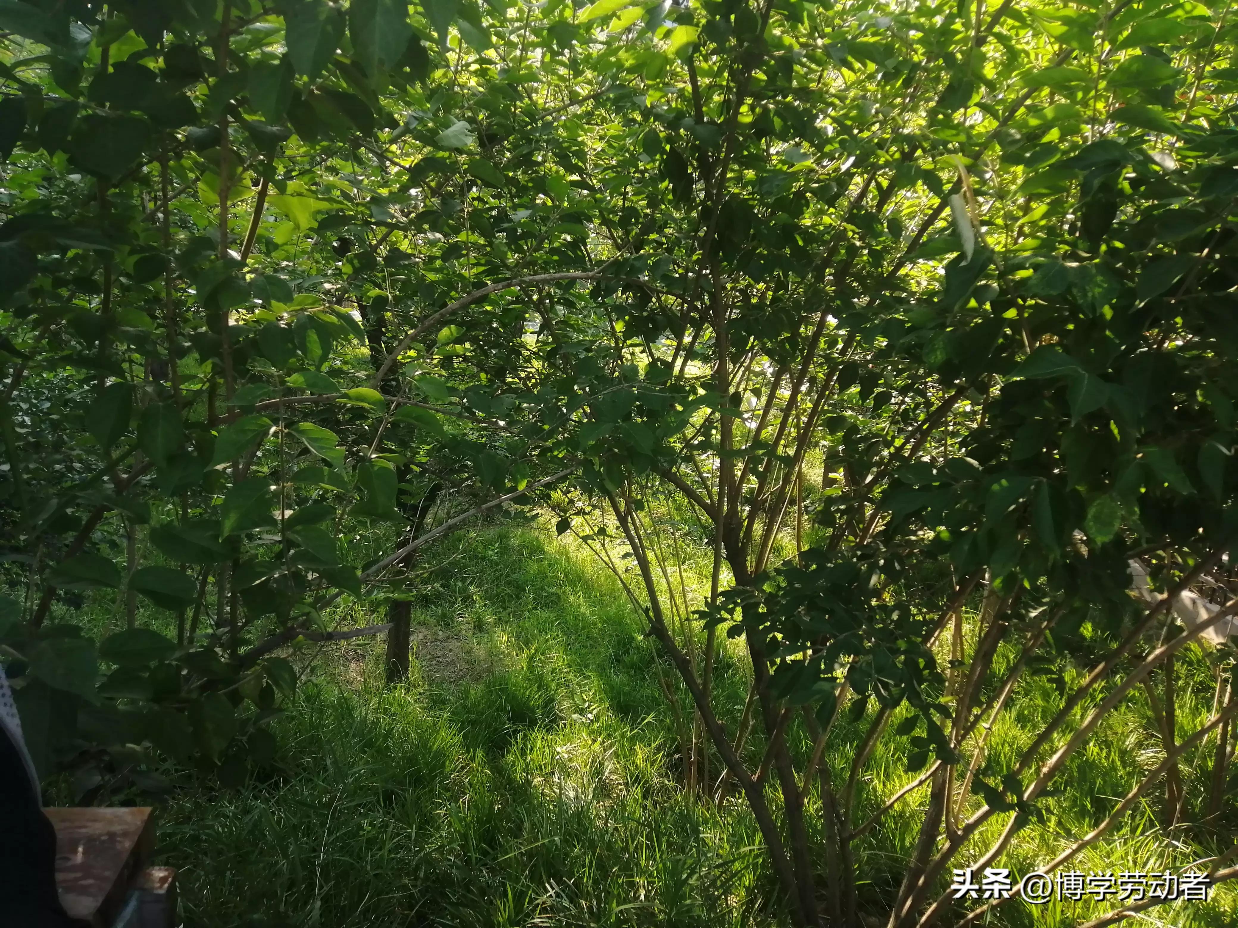 "Zhi Jing": Heaven is more important than time, people are more ...