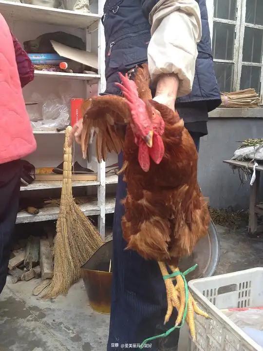 Gelao Marriage Customs and Culture - iNEWS