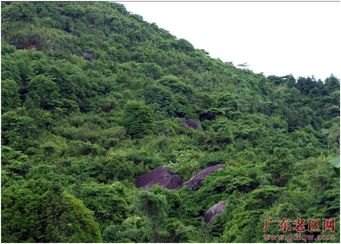 Zhou Liping: Dare to teach the sun and the moon to change the sky for ...