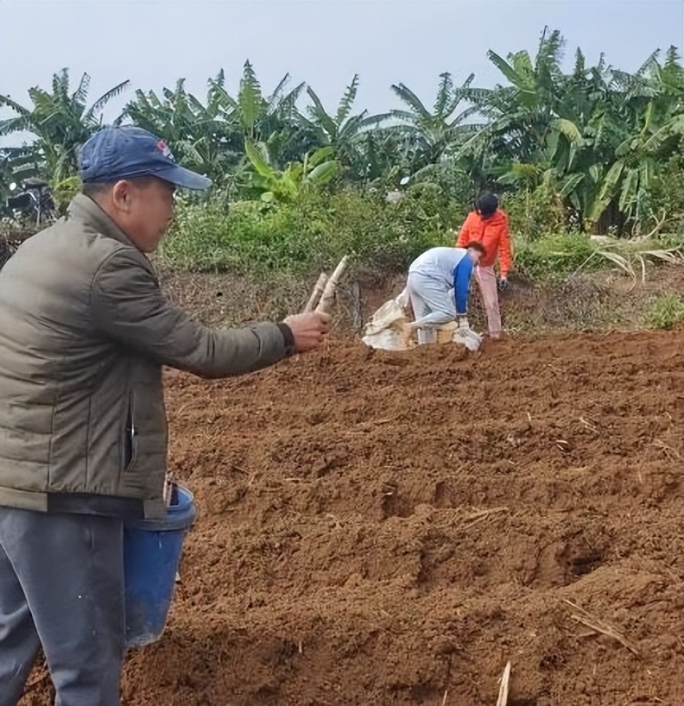 Quan Hongchan goes home to visit relatives!Zhang Changning's family ...