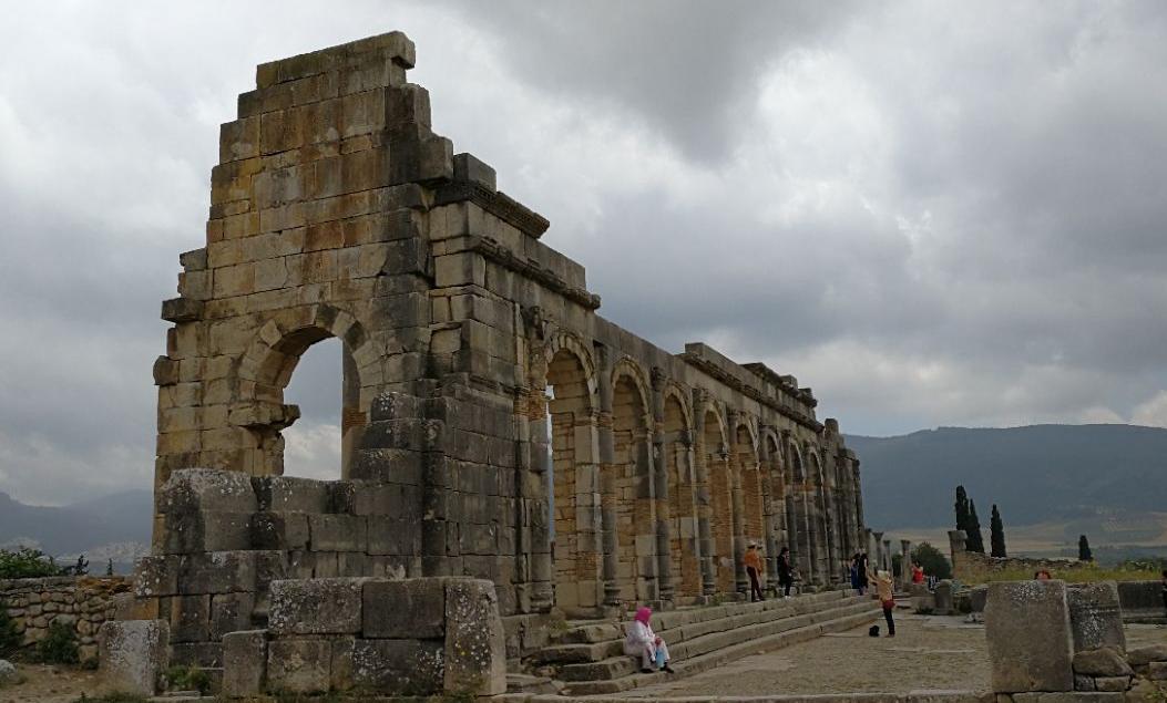 In 789 AD, the establishment of the Idris dynasty, what contributions ...