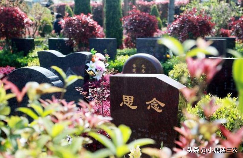 Qingming is approaching. As the saying goes: Qingming is at the head of ...