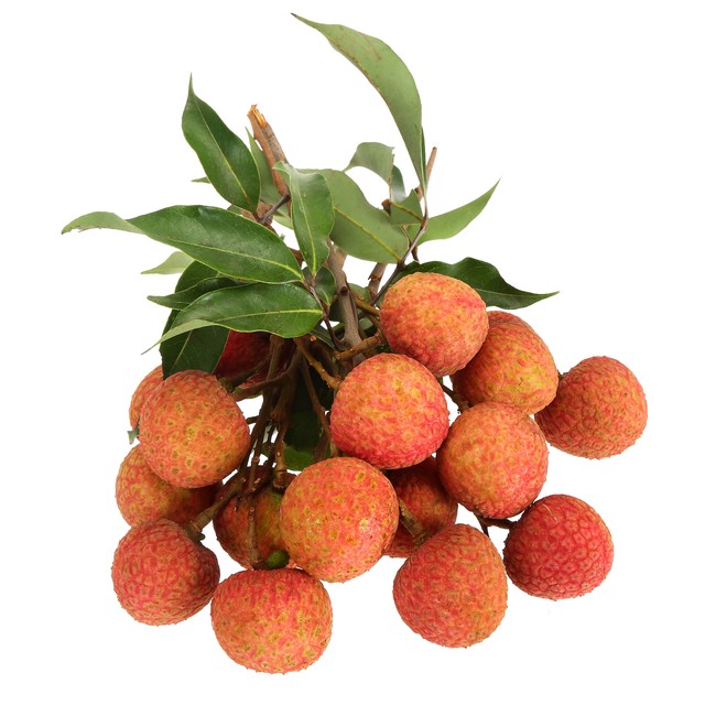 A Tasting Tour That Makes You Fall in Love with Lychees - iNEWS
