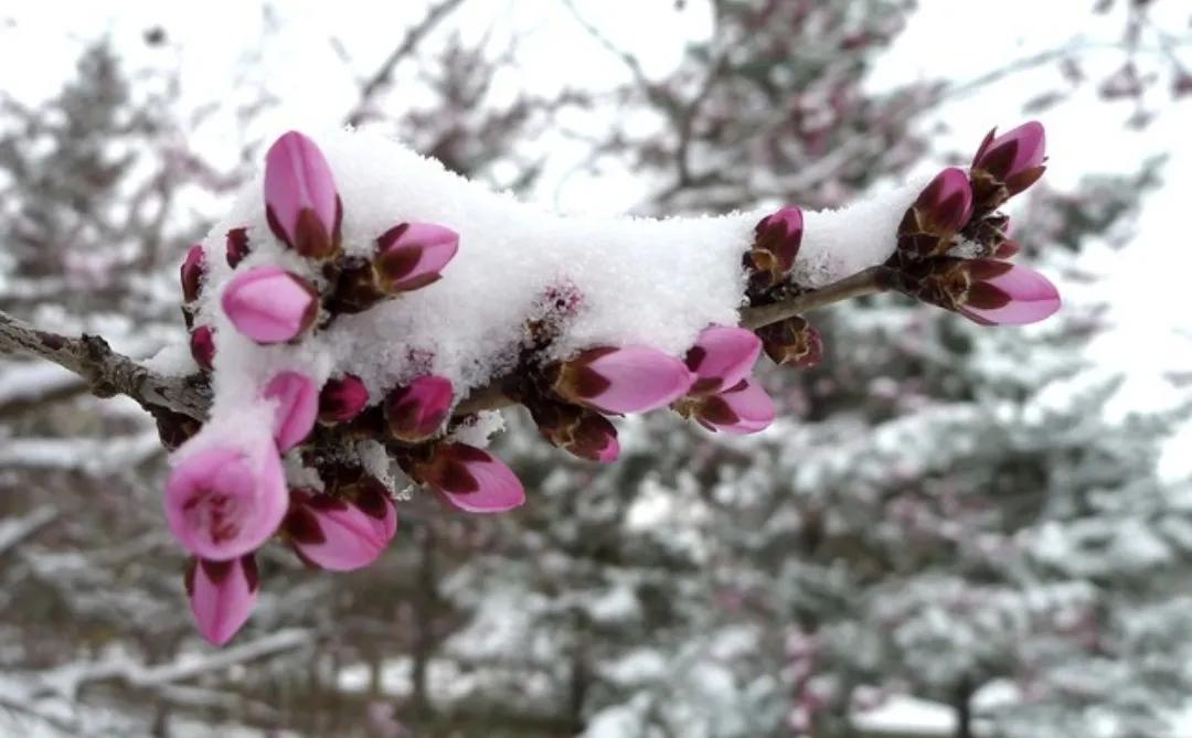 Ancient poems and verses describing snow scenes - iNEWS