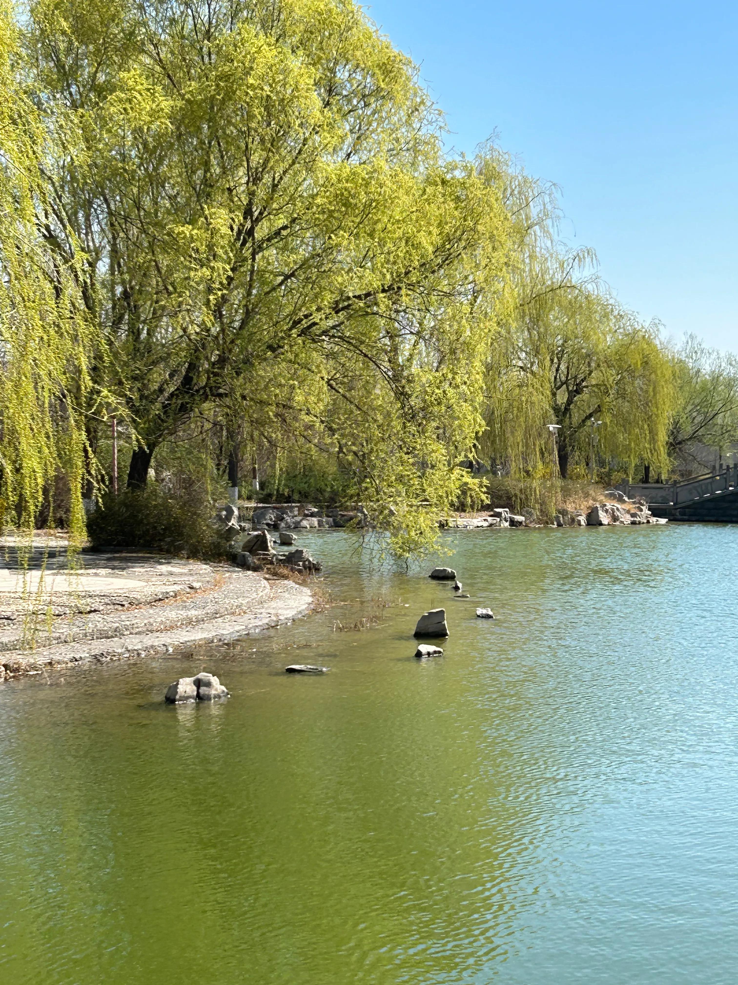 A reform that gambled on the fate of the country——1. Qin Mugong's ...