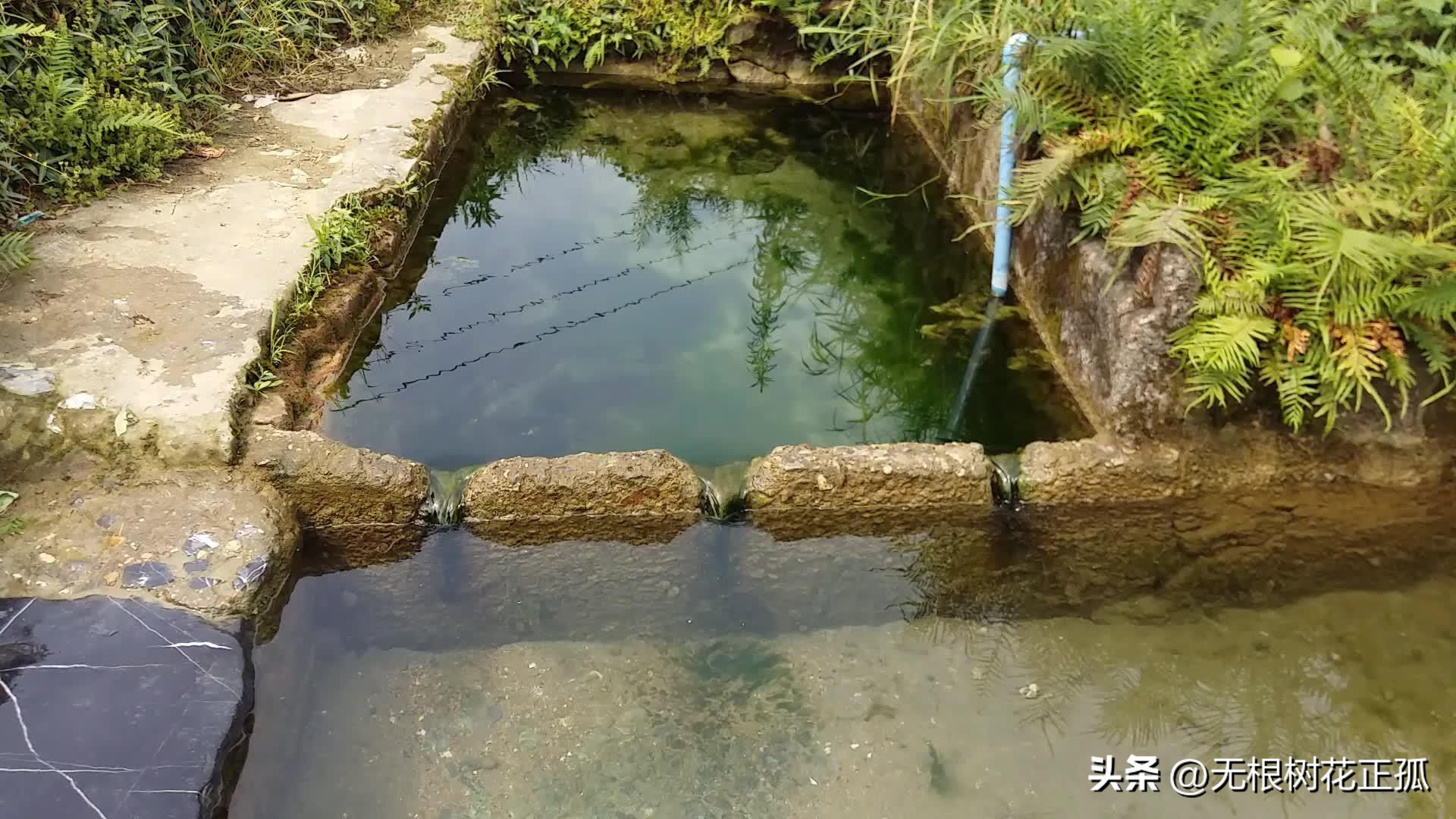 Well water is purely natural, and tap water is processed in various ...