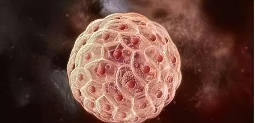 Stem cells promise to awaken dormant memories - iNEWS