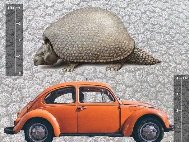 Prehistoric tanks", their predecessors in this world〗 - iMedia