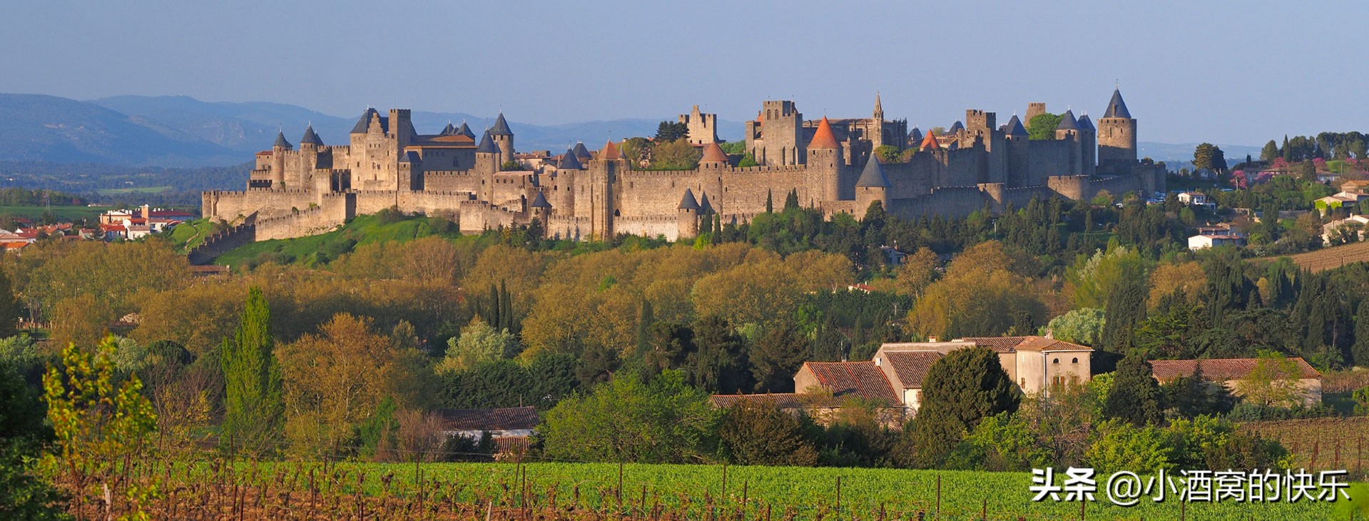 French Bordeaux winery - Chateau Prieurs de la Commanderie - iNEWS