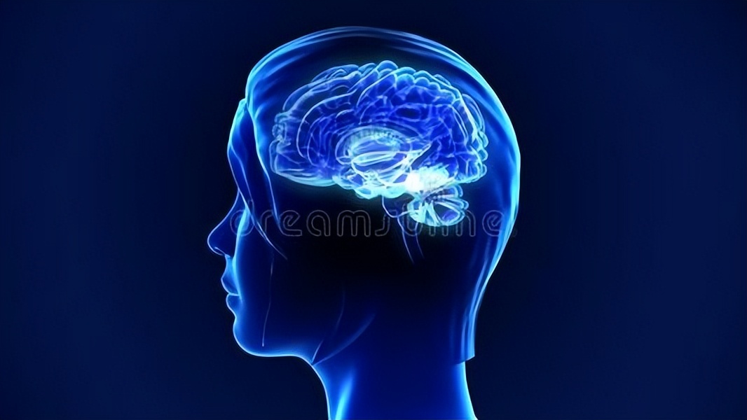 Discuss the main symptoms of chronic brain injury based on the theory ...