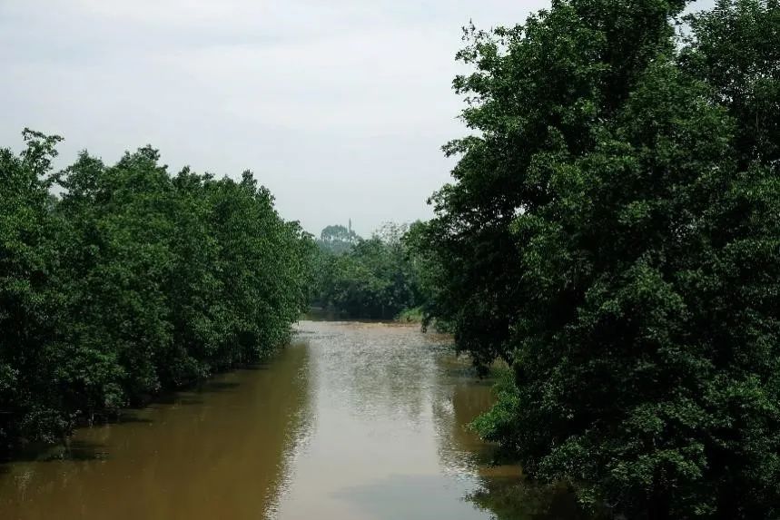 Chengdu, Sichuan: The planning and design of Luxi River and Dongfeng ...