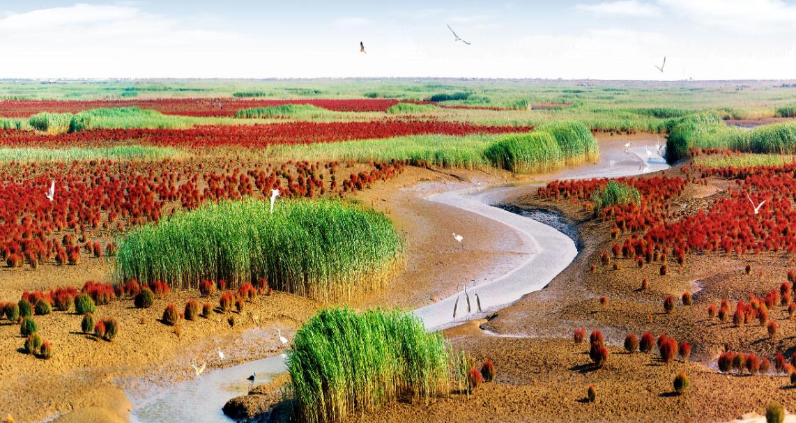 What changes have taken place at the mouth of the Yellow River in the ...