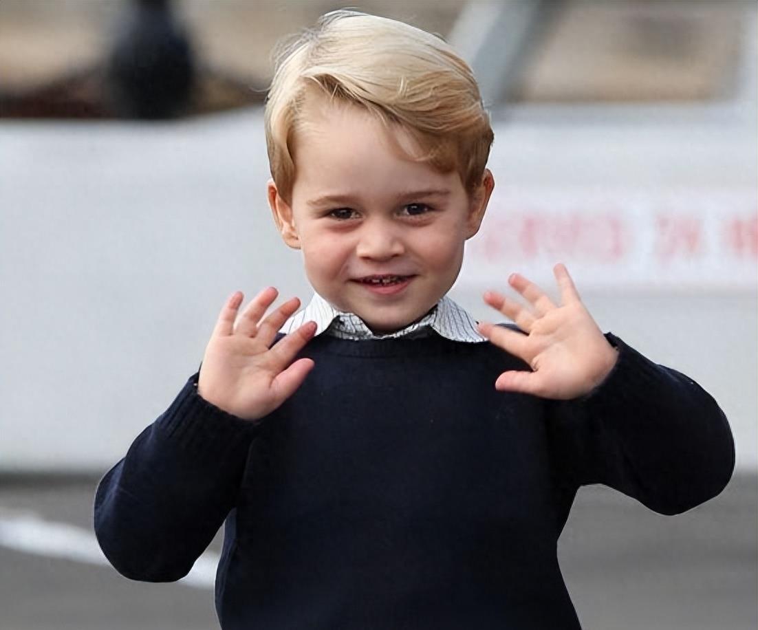 The royal junior wins easily! - iMedia