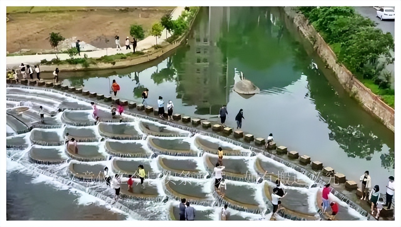 11 people went and 4 people returned, the aunt punched in behind the ...