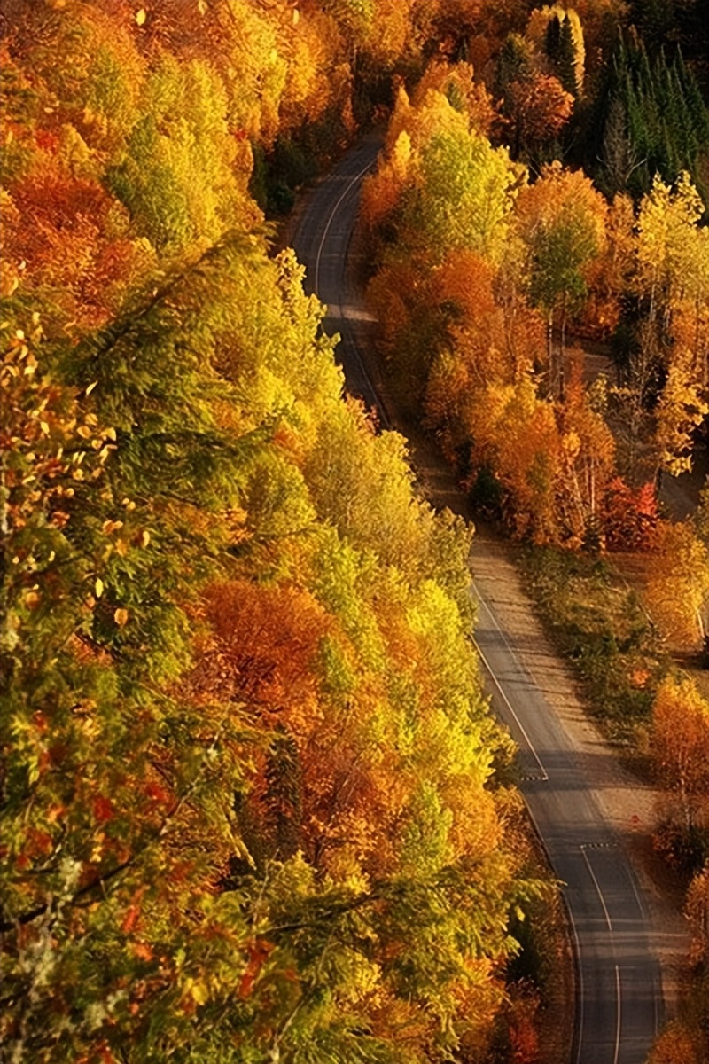 September is not for sad autumn, let's take a look at the beauty of ...