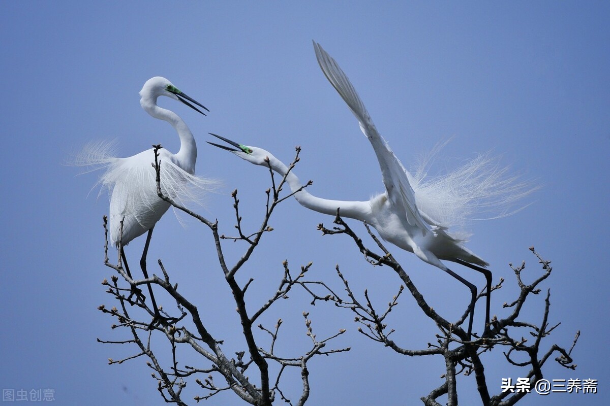 Poetry Comes Out of the Heart and the Heart, Out of the Heart and Heart ...