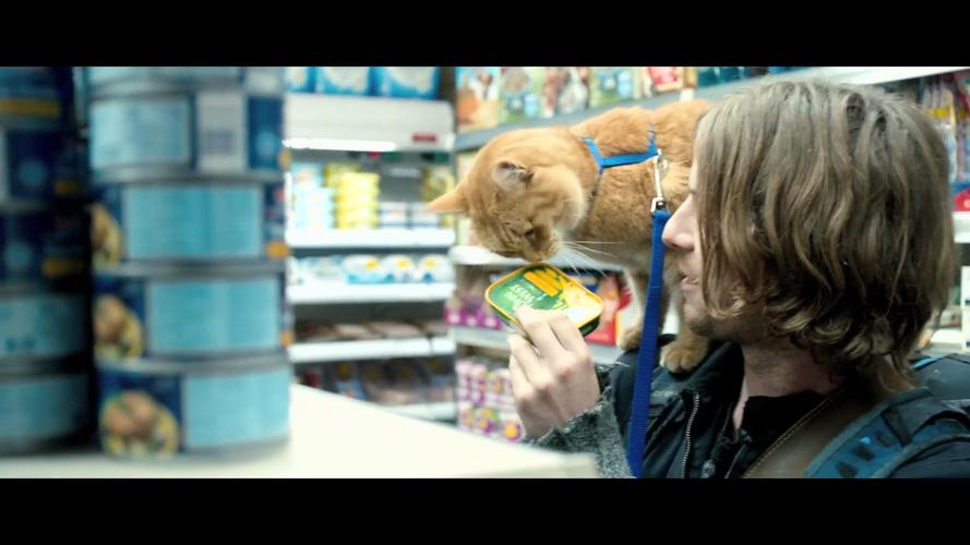 How to understand the mirror language in "The Stray Cat Bob"? - iMedia