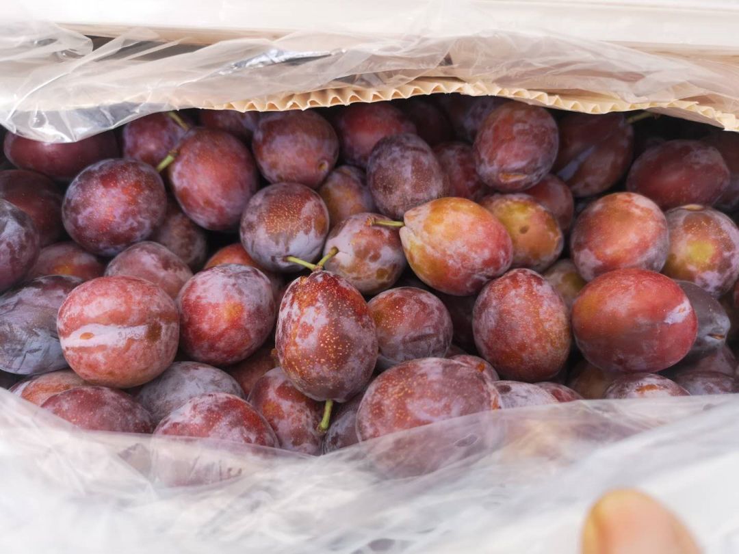 When buying prunes, do you choose soft or hard? - iNEWS