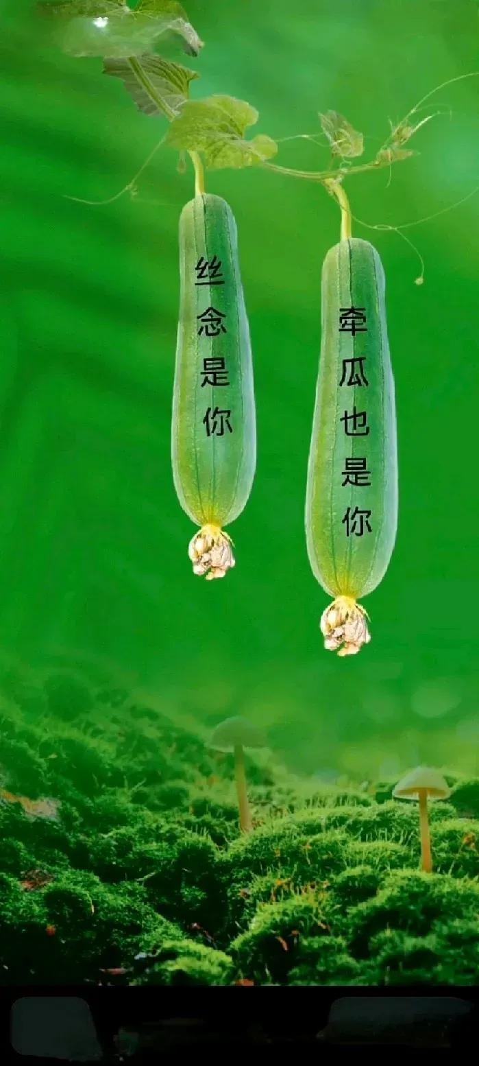 woman has no own - iNEWS