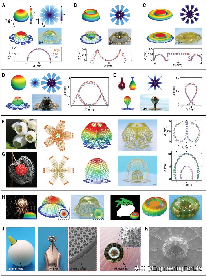 "Science" Tsinghua University: artificially customized three ...