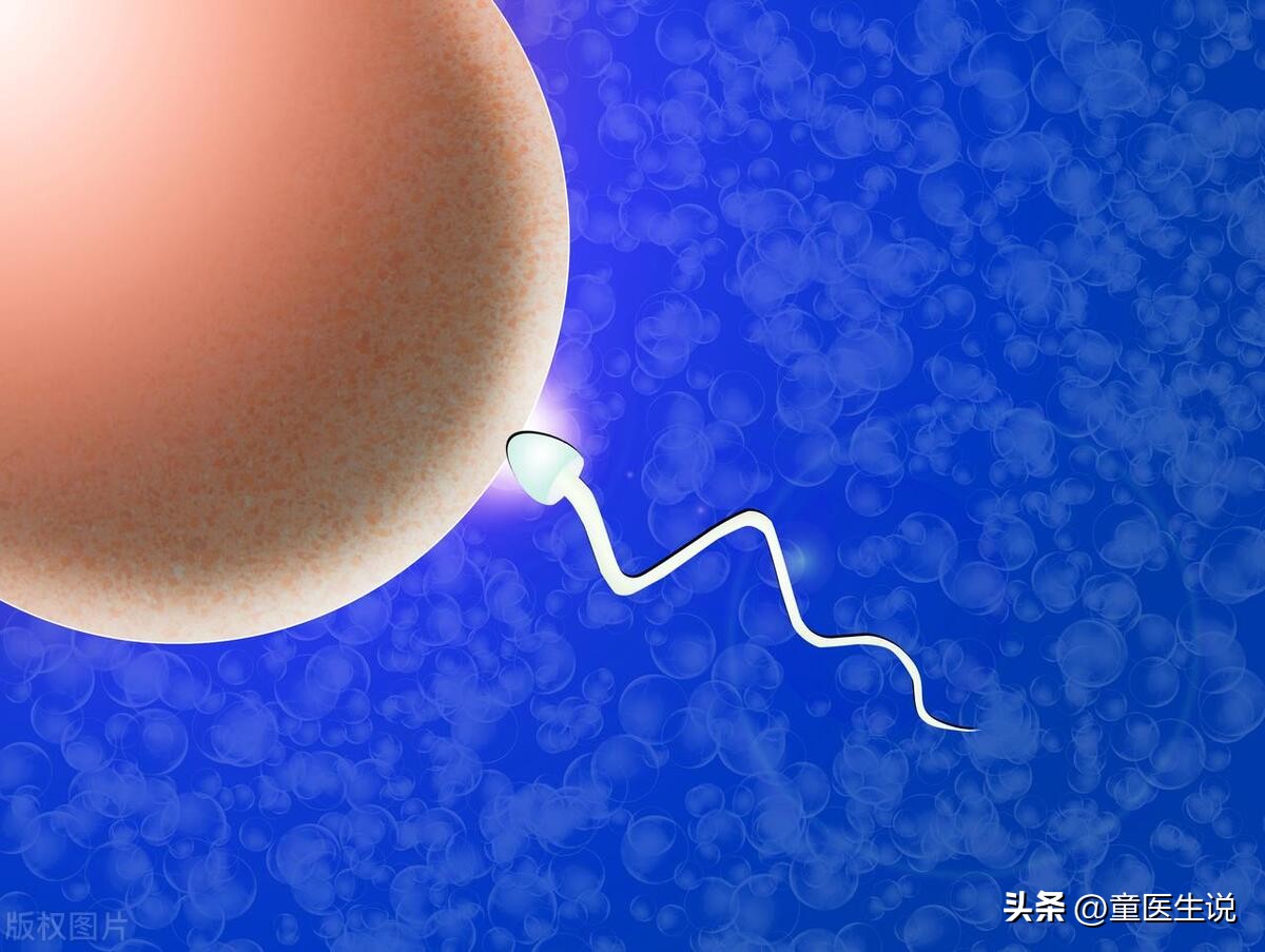 Male fertility will become a reality, Japan successfully completed the ...