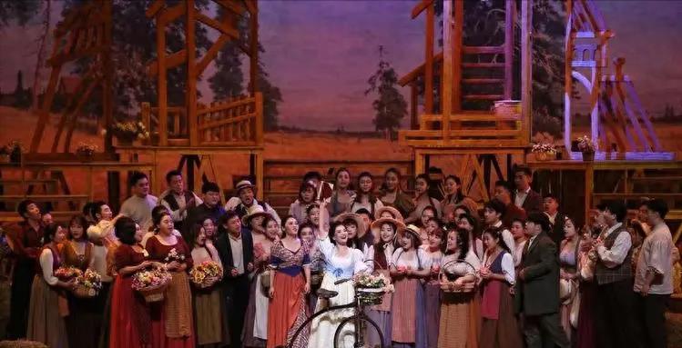 What is the status of Donizetti's comic operas in Italy? What are the ...