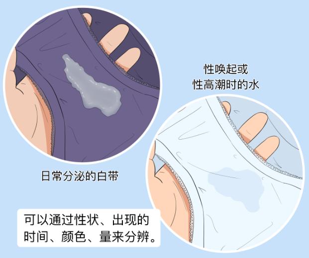 Can't tell the difference between "leucorrhea" and "love liquid ...