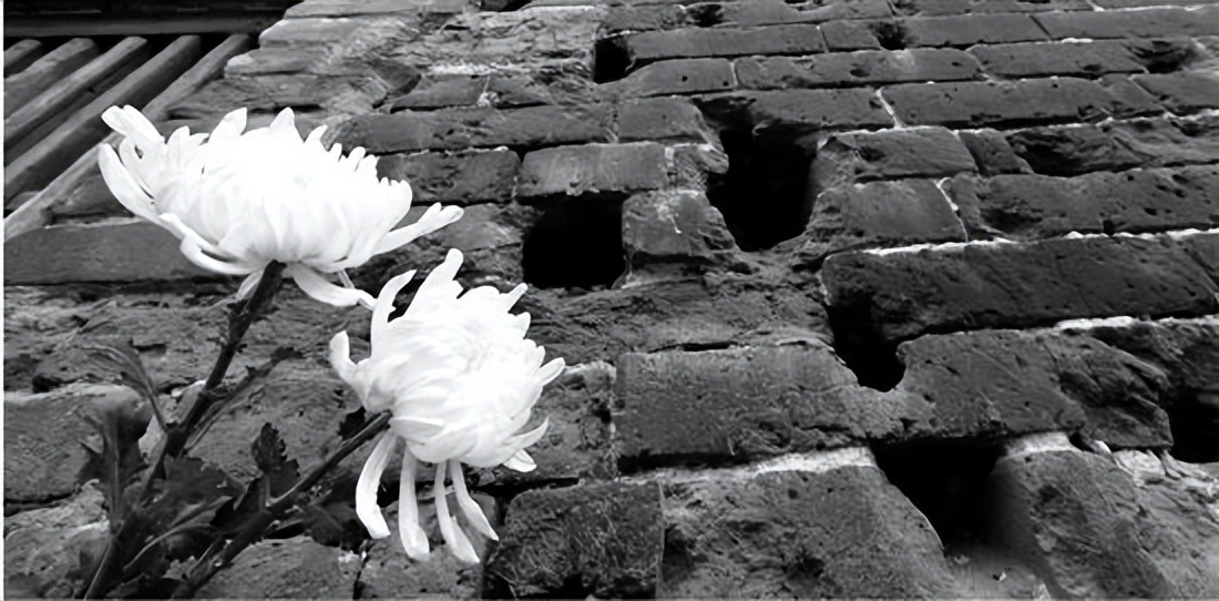 A Textual Research on the Date and Date of Martyr Lin Junhua's Birth ...