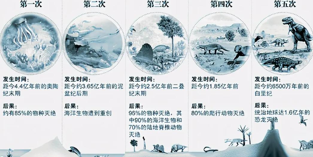 Scientists warn: There are indications that the earth may be entering ...