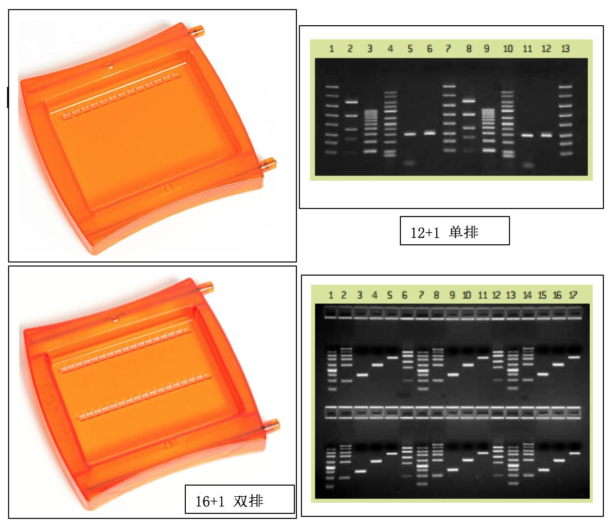 The yyds of electrophoresis: FlashGel flash gel system - iNEWS